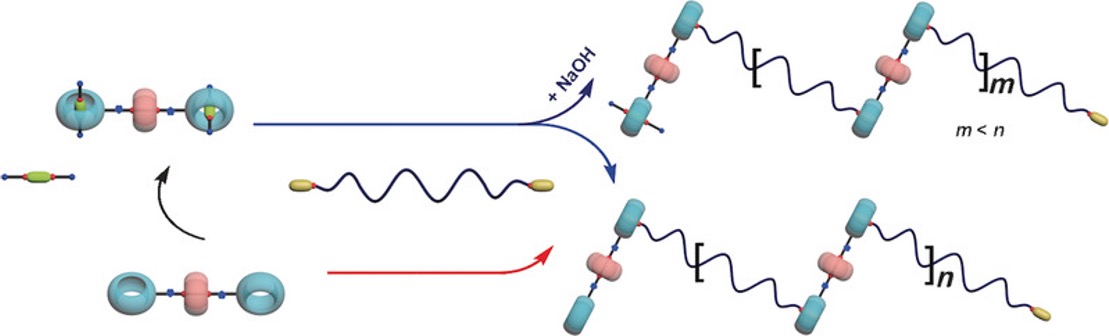 Supramolecular polymerization controlled through kinetic trapping ...