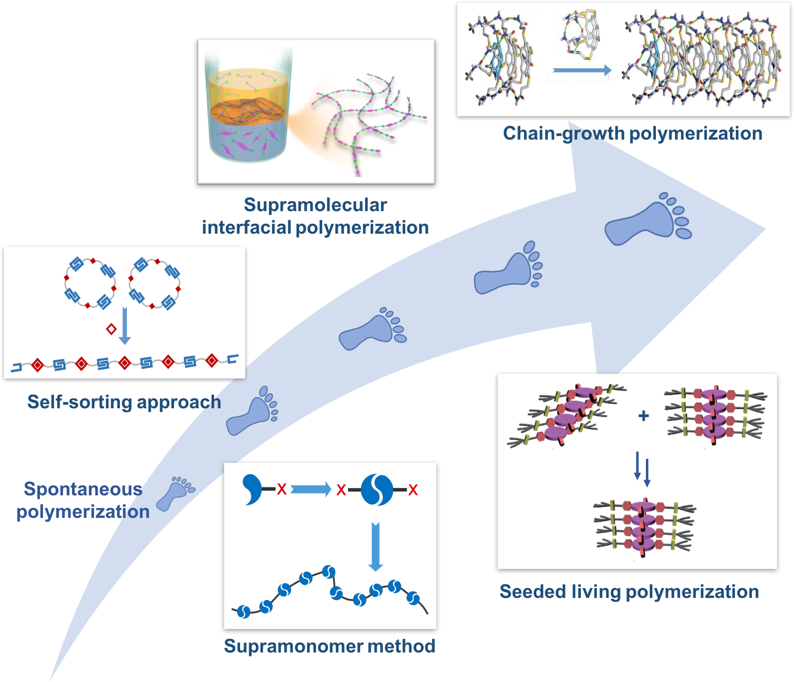 Supramolecular polymerization from controllable fabrication to living ...
