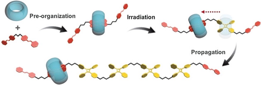 Supramolecularly catalyzed polymerization: from consecutive ...