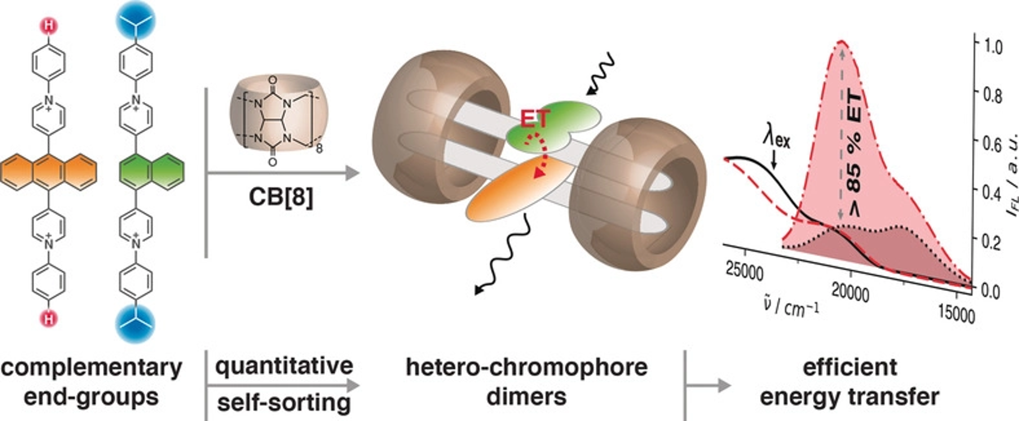 Quantitative supramolecular heterodimerization for efficient energy transfer | 黄泽寰研究组