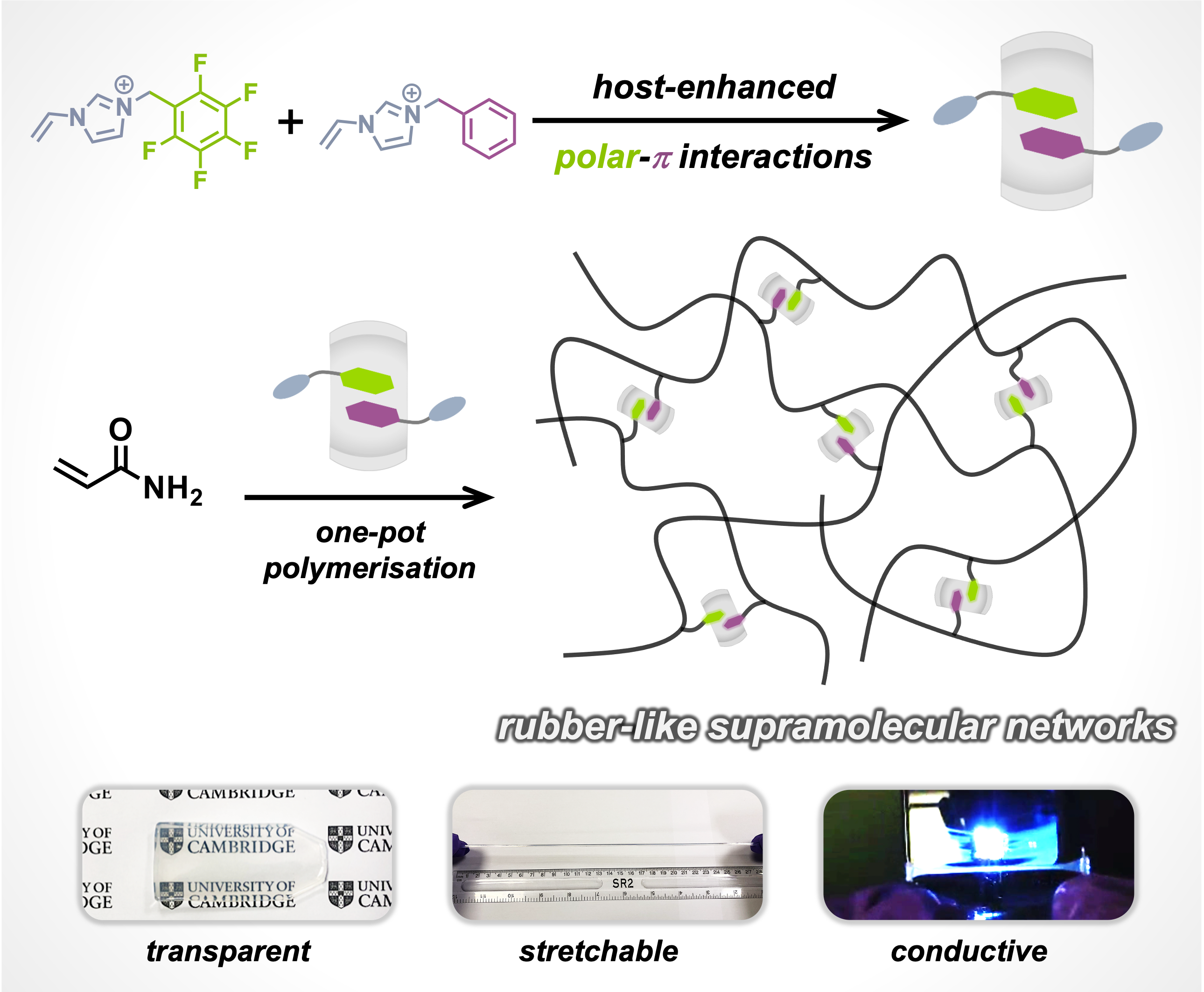 Host-enhanced phenyl-perfluorophenyl polar−π interactions | 黄泽寰研究组