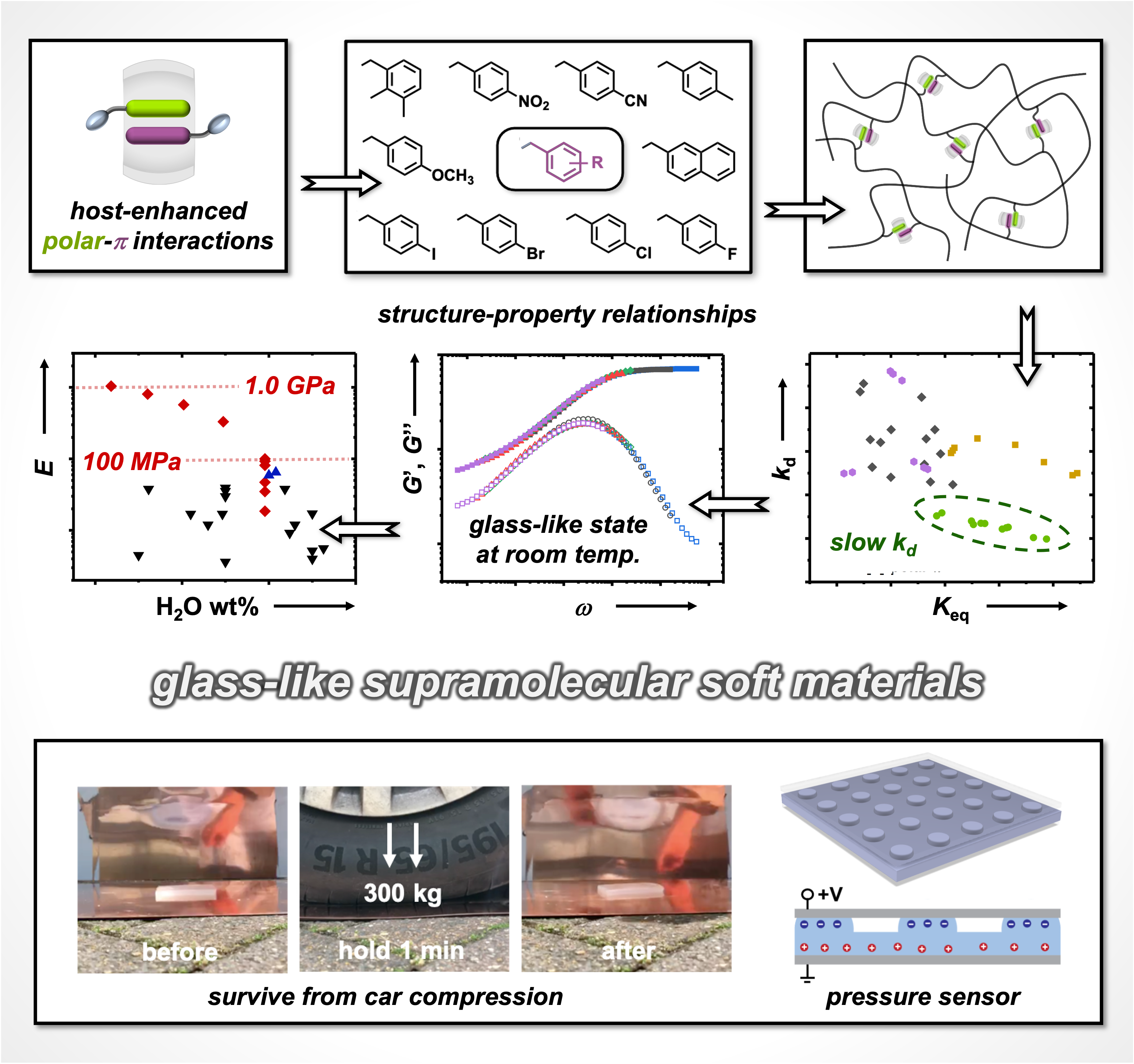 Highly compressible glass-like supramolecular polymer networks | 黄泽寰研究组