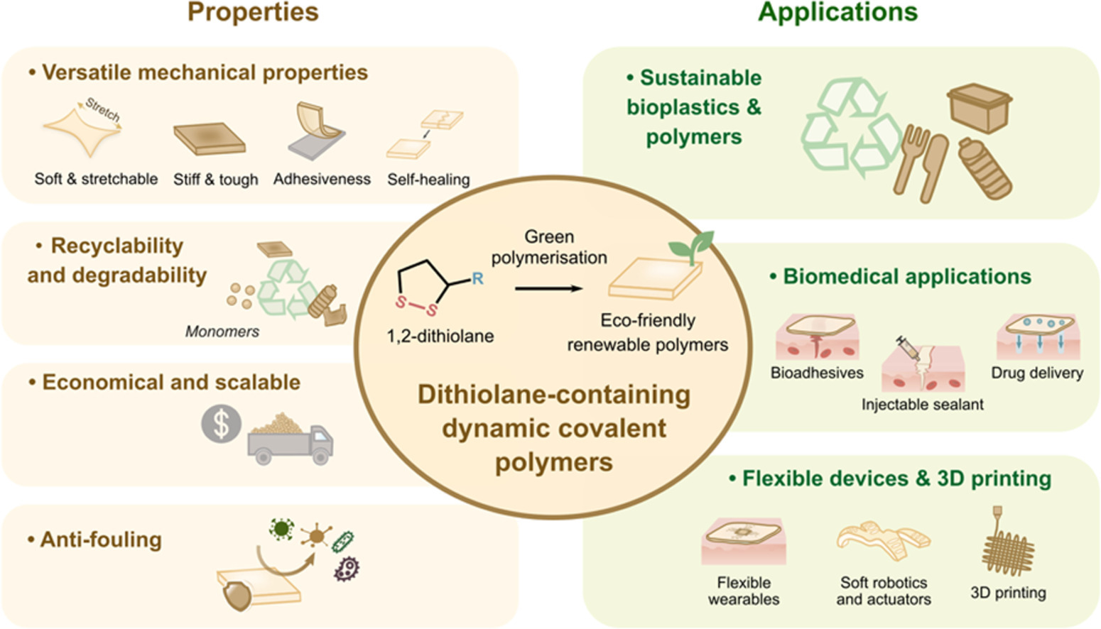 Harnessing dynamic covalent chemistry in sustainable biomass-based ...